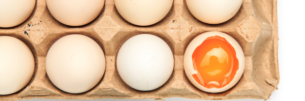 UV Technology in Egg Processing: Safety, Hygiene, and Environmental ...